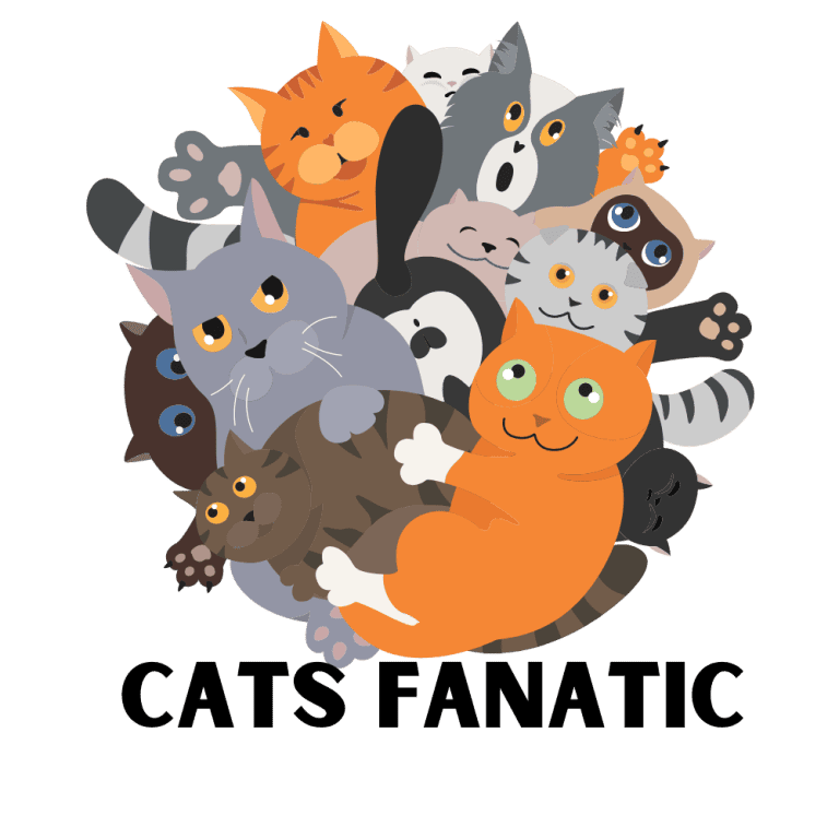 Weird Cat Behaviors Explained- Why Cats Do The Strangest Things?